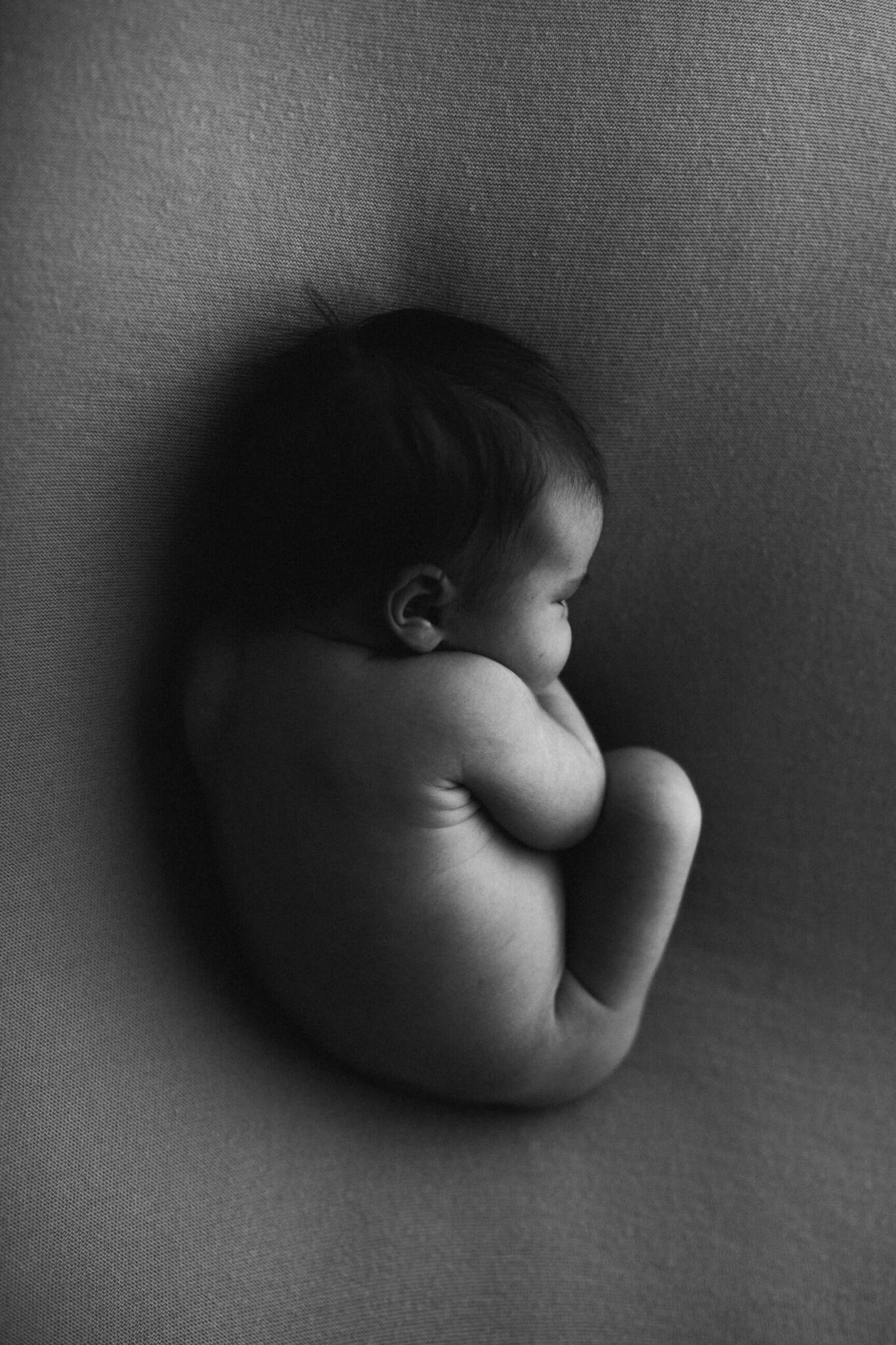 Melbourne Newborn Photography | Kristen Cook Studio